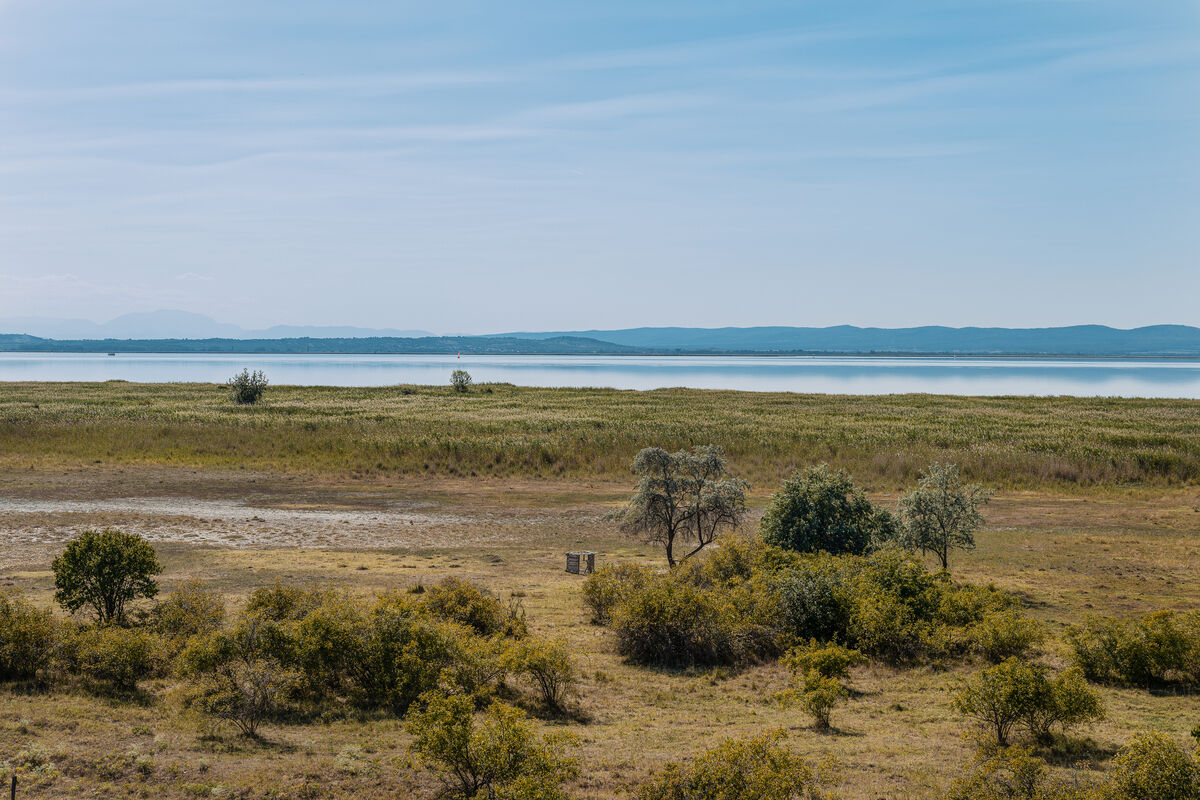 Meldeamt - Gemeinde Illmitz