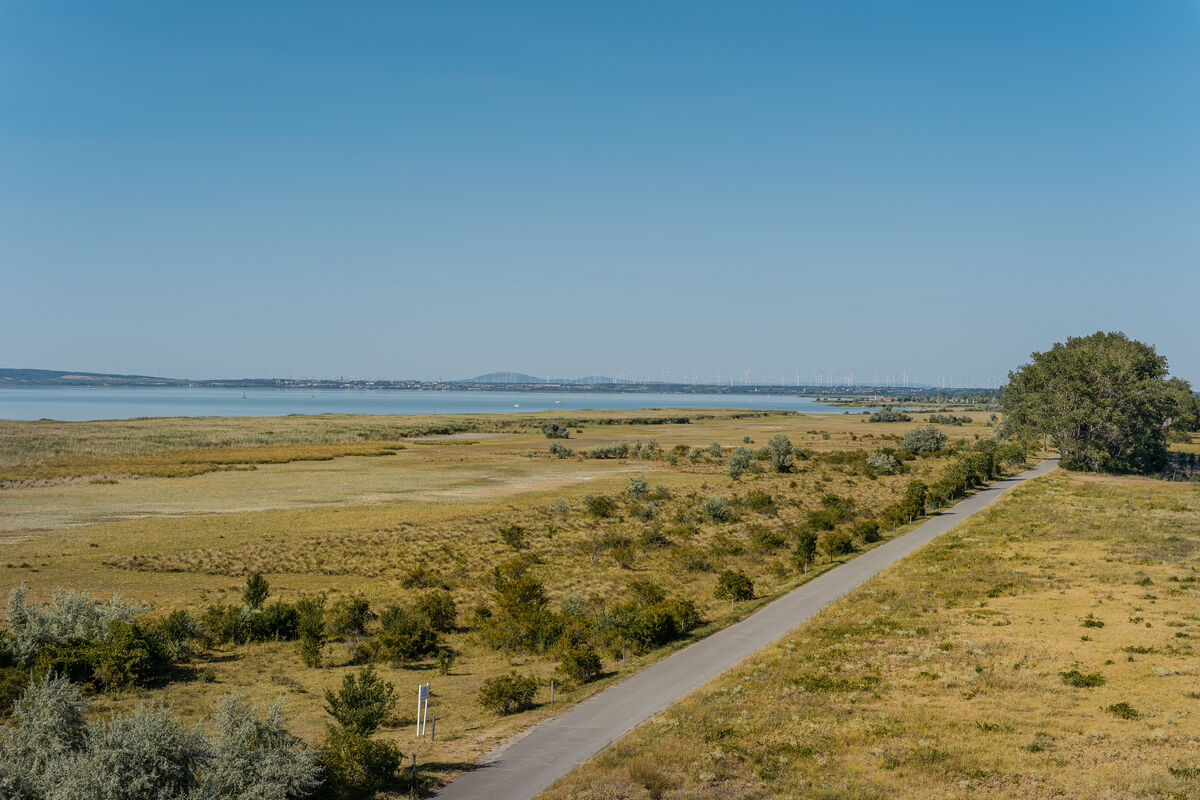 Bürgermeister - Gemeinde Illmitz