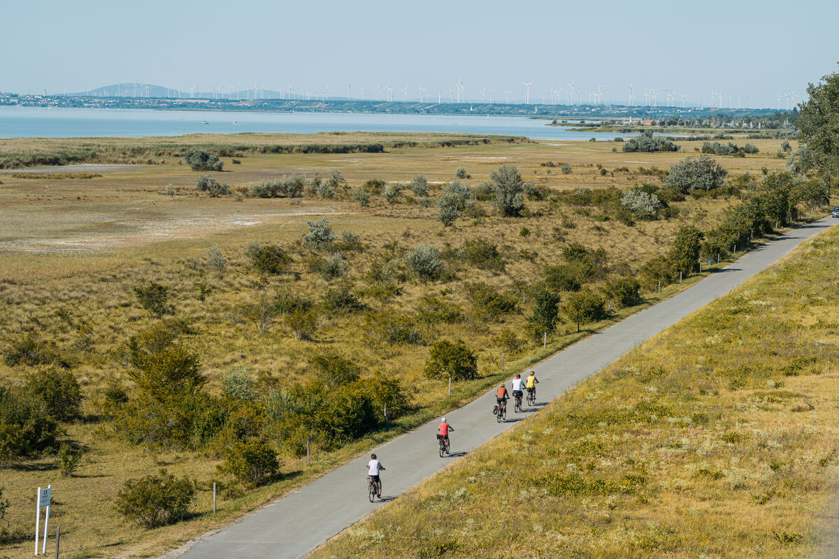 Gemeindegebarung - Gemeinde Illmitz